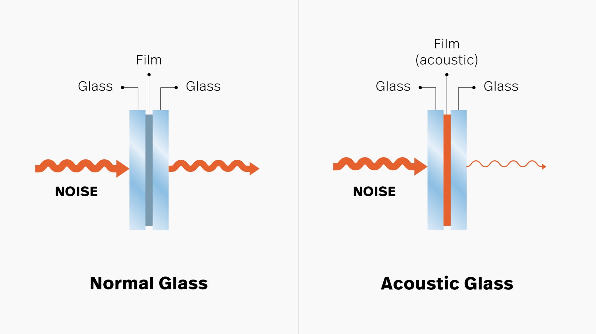 Glasses - IAP FARAM